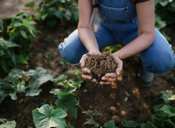 Les 10 gestes de l'éco-jardinage - Gamm vert