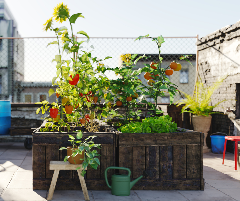 Cómo montar tu propio huerto urbano en casa - Jardiland