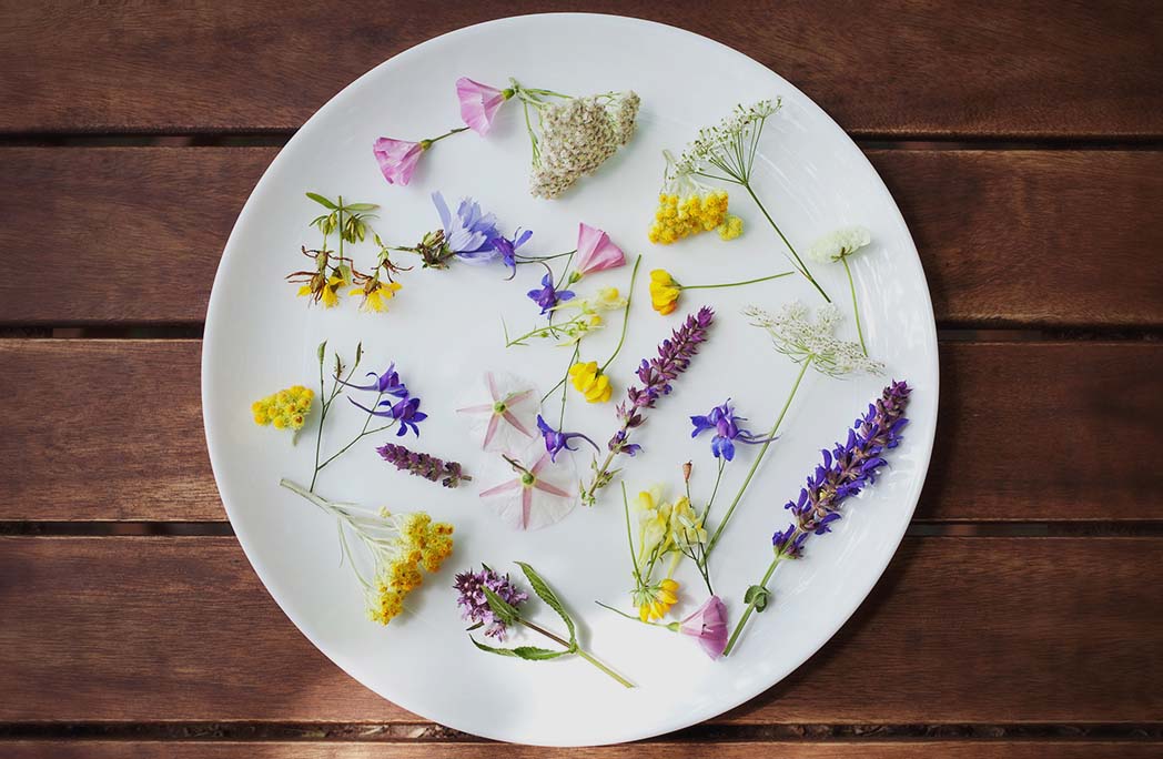 10 fleurs comestibles au menu - Jardiland