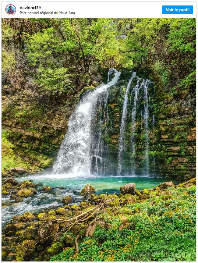 Zoom sur la région Grand-Est - Jardiland