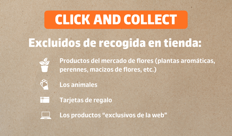 Click and collect - Jardiland