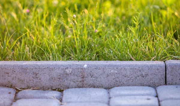 Comment poser une bordure de jardin en béton ? - Jardiland