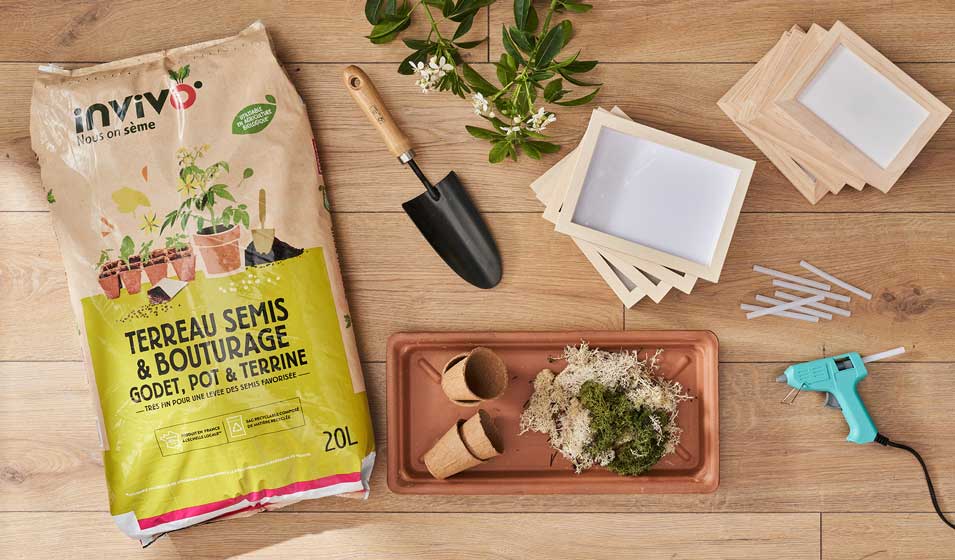 Fabriquer une mini serre pour faire pousser ses semis - Jardiland