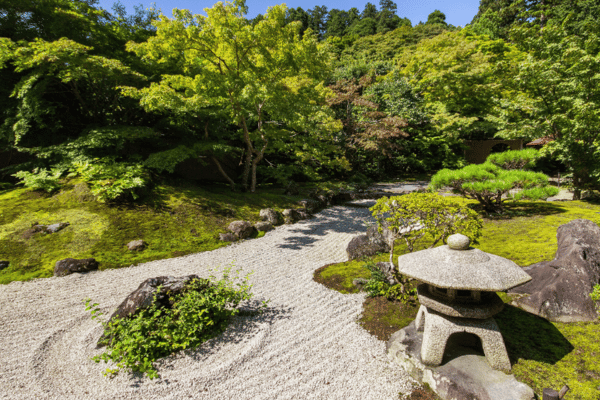 Jardín zen, ¿qué es y cómo se hace en casa? - Jardiland