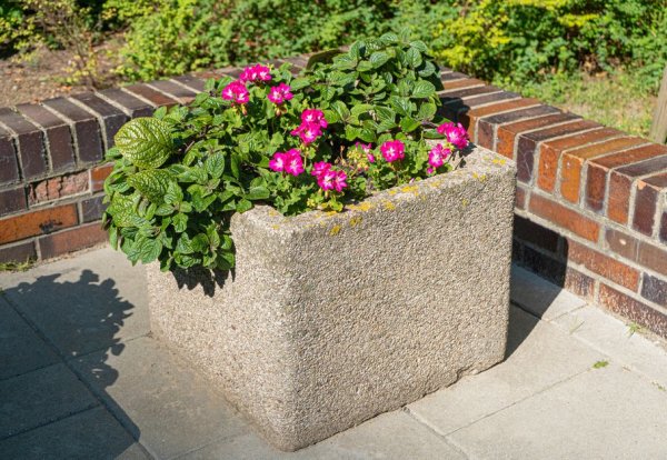 Comment fabriquer une jardinière en béton ? - Gamm vert