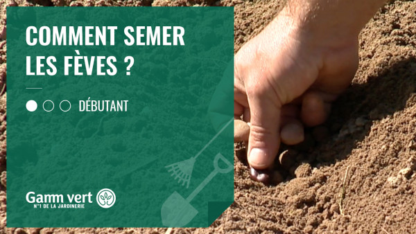 Tuto : Comment semer les fèves ? - Gamm vert