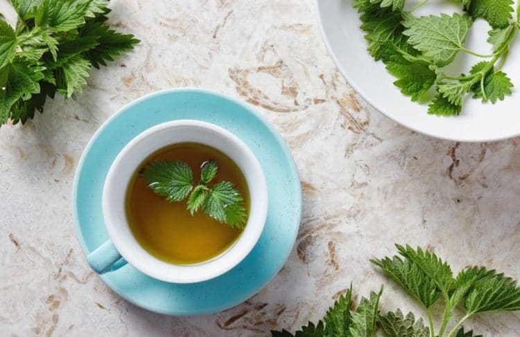 6 bienfaits de l’ortie pour votre bien-être - Jardiland