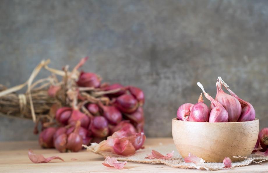 Planter les échalotes - Gamm vert