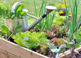 Crea tu huerto - Jardiland