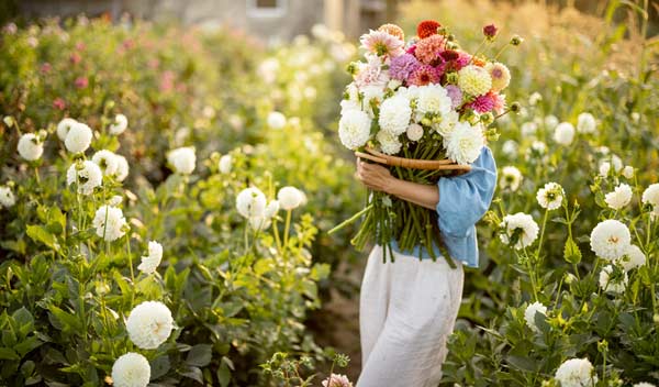 12 fleurs à cultiver pour des bouquets toute l'année ! - Jardiland