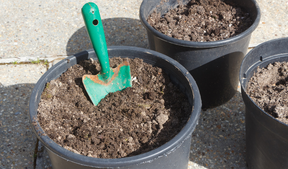 ¿Cómo elegir la tierra para macetas? - Jardiland