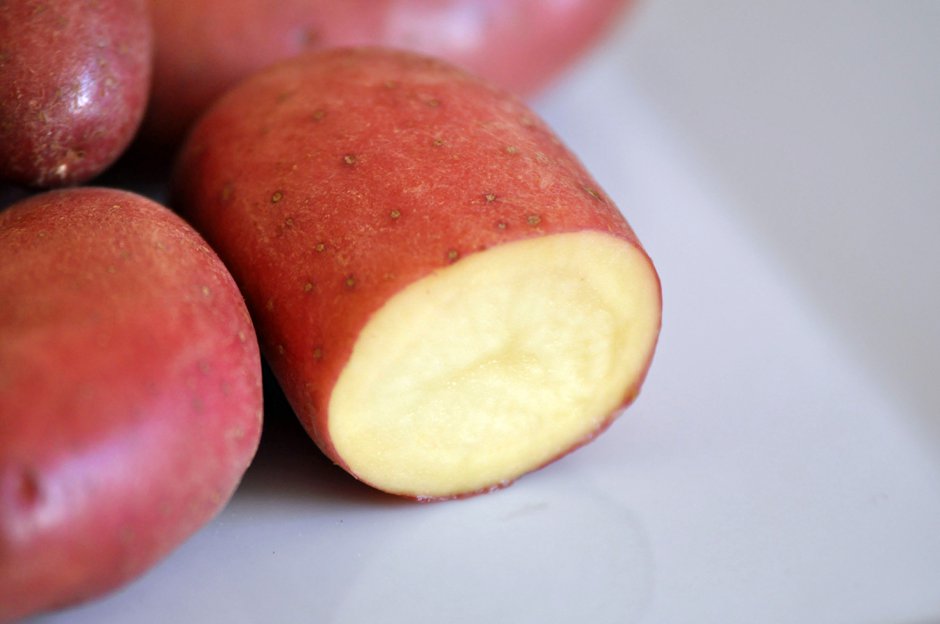 La pomme de terre rose - Gamm vert