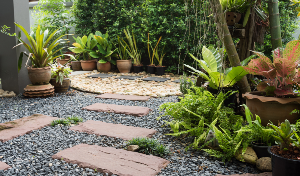 ¿Cómo crear un jardín seco? - Jardiland