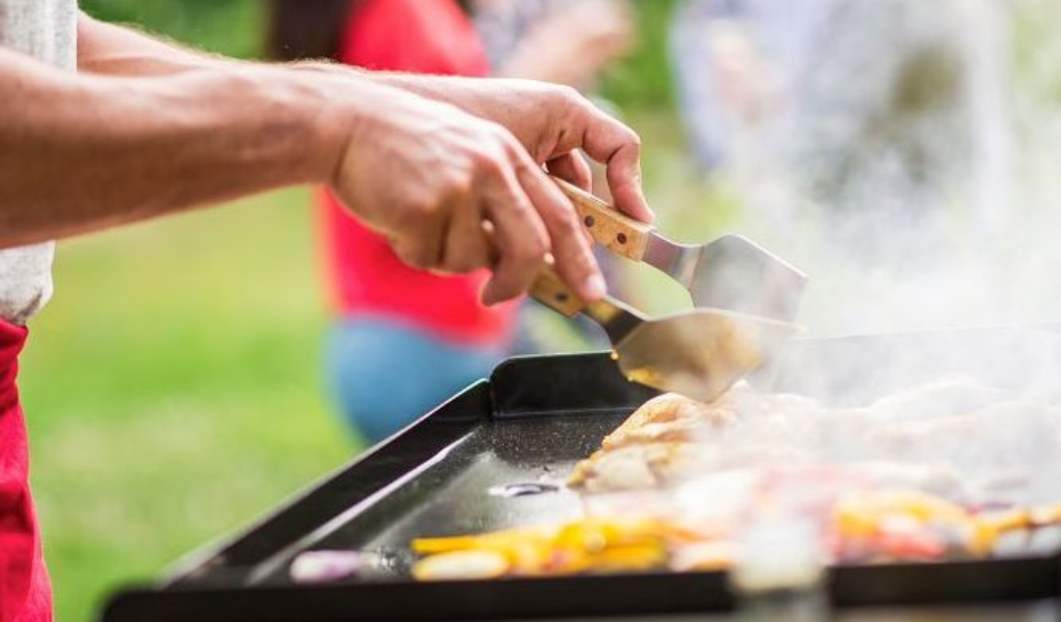 Plancha: nuestros consejos para elegirla - Jardiland