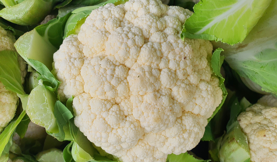 ¡Este invierno, mucha col! - Jardiland