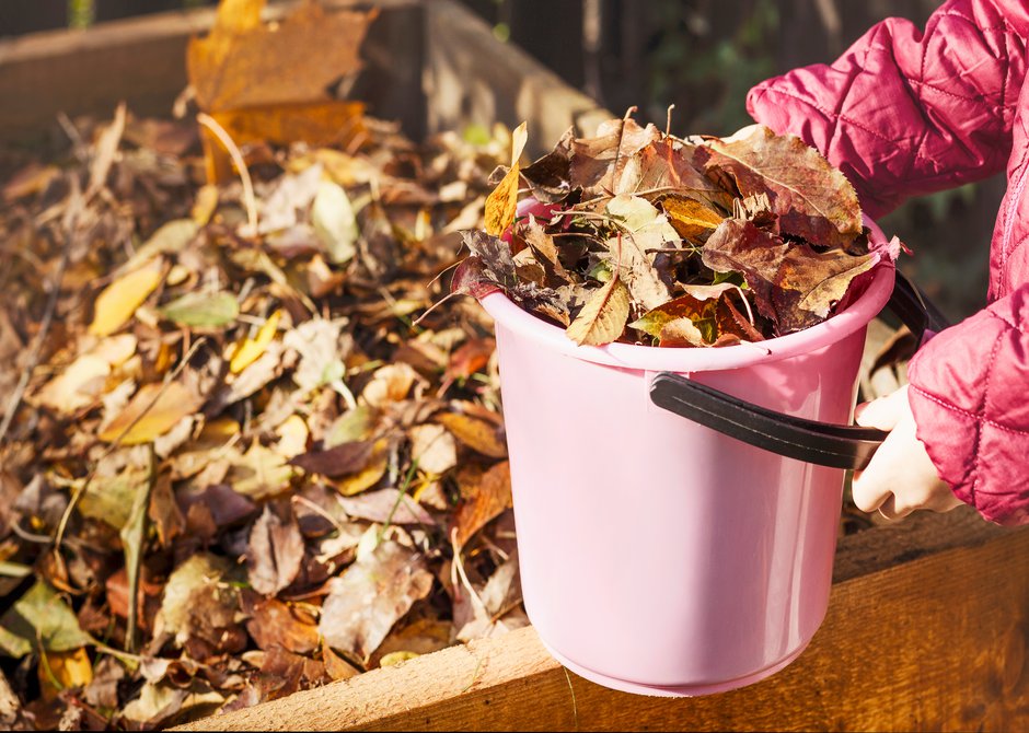 Compost trop humide : conseils et bonnes pratiques - Gamm vert