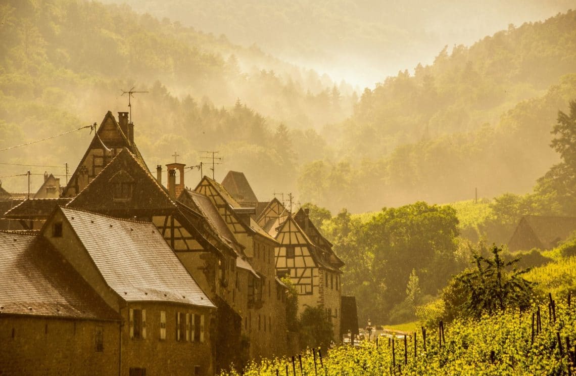 Zoom sur la région Grand-Est - Jardiland