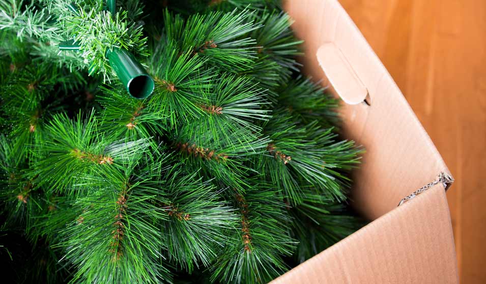 Quel budget prévoir pour un sapin de Noël ? - Jardiland