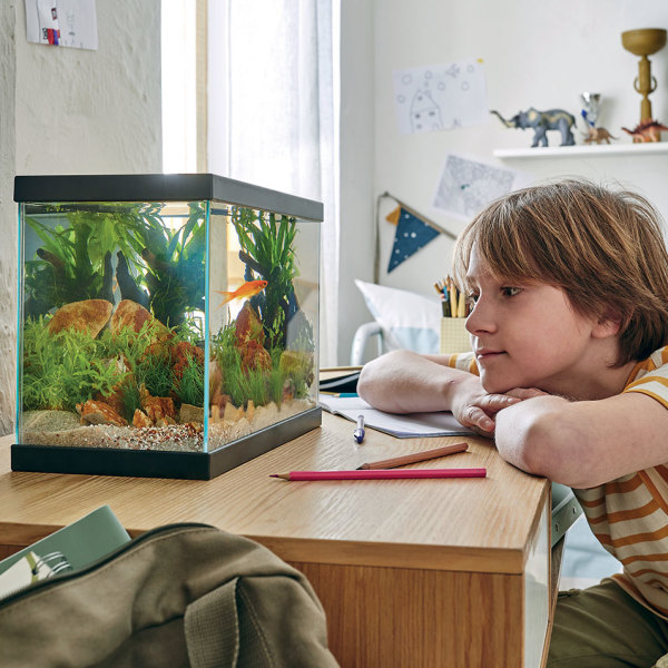 Aquarium Pure Family 🐟️ : le choisir et l'installer - Jardiland