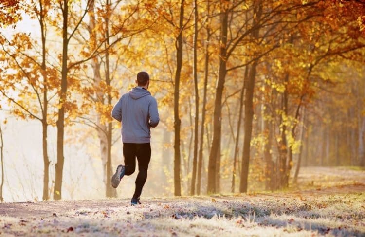 6 conseils pour garder la forme en automne - Jardiland