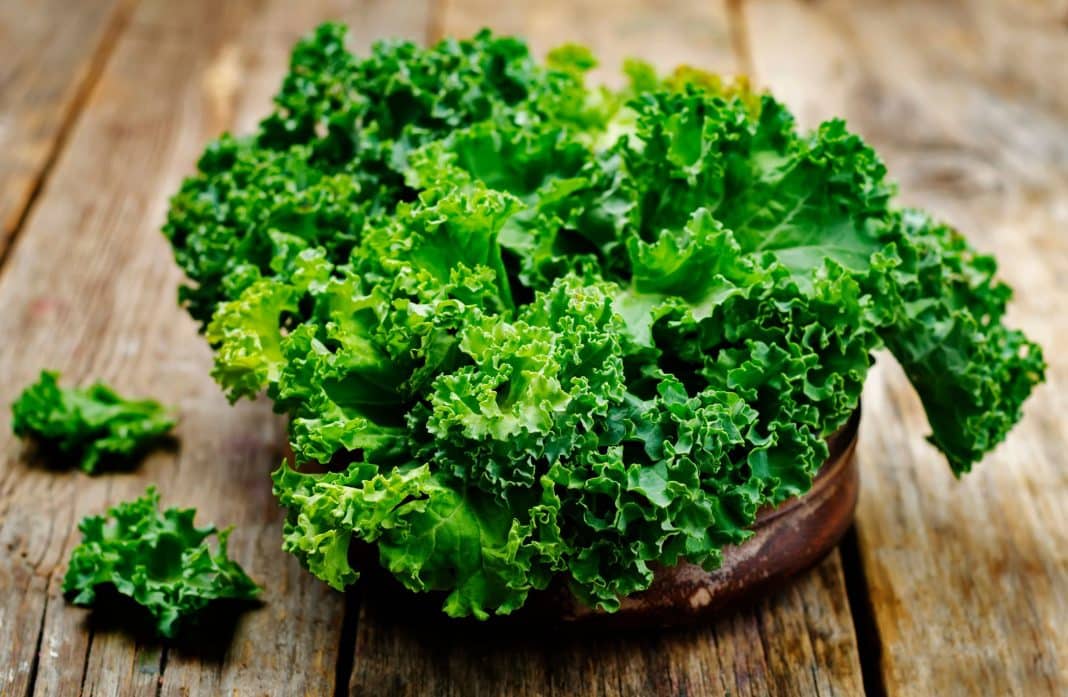 Le chou kale : le grand retour de ce légume oublié dans nos assiettes ...