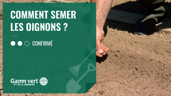 Tuto : Comment semer les oignons ? - Gamm vert
