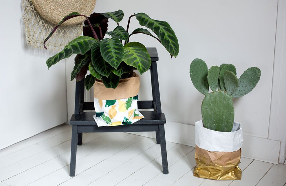 Mon cache-pot en papier kraft - Jardiland