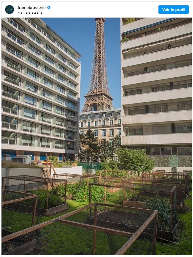 Top 5 des restaurants avec leur propre potager - Jardiland