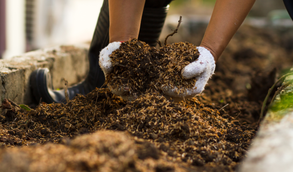 ¿Qué hacer con las hojas secas de mi jardín? - Jardiland
