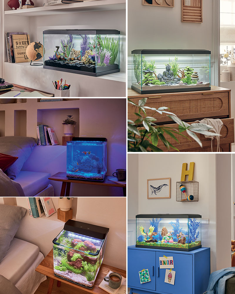 Aquarium Pure Family 🐟️ : le choisir et l'installer - Jardiland