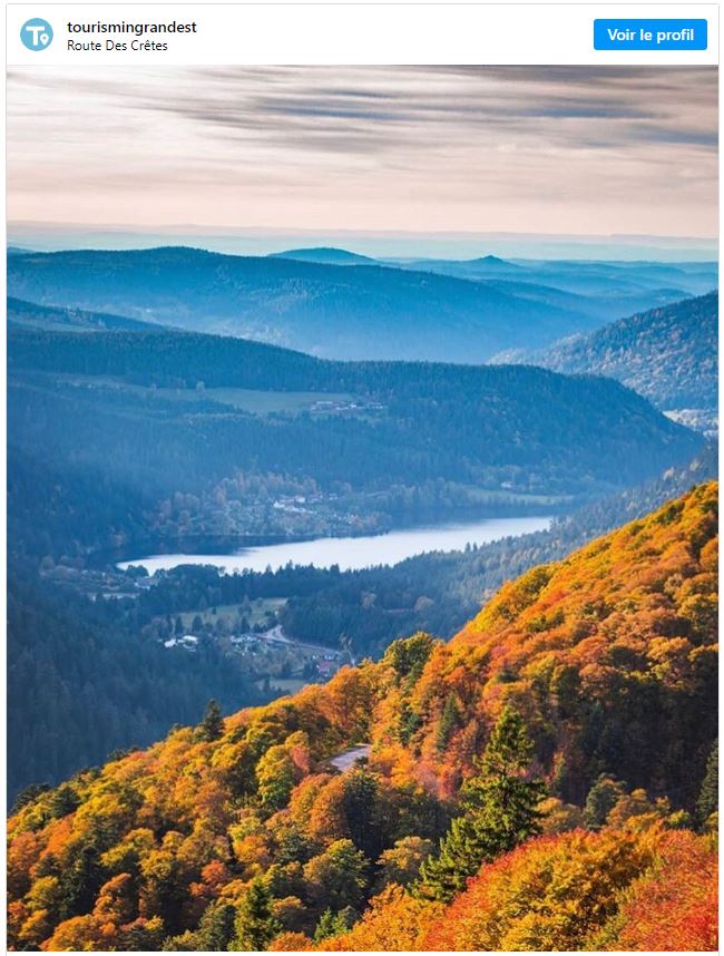 Zoom sur la région Grand-Est - Jardiland