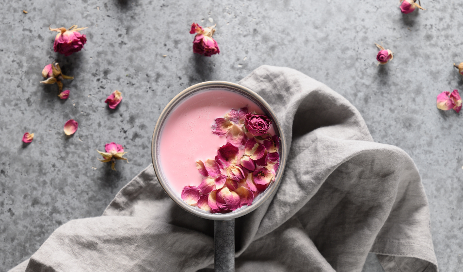 Las 5 bebidas calientes más cool para invierno - Jardiland