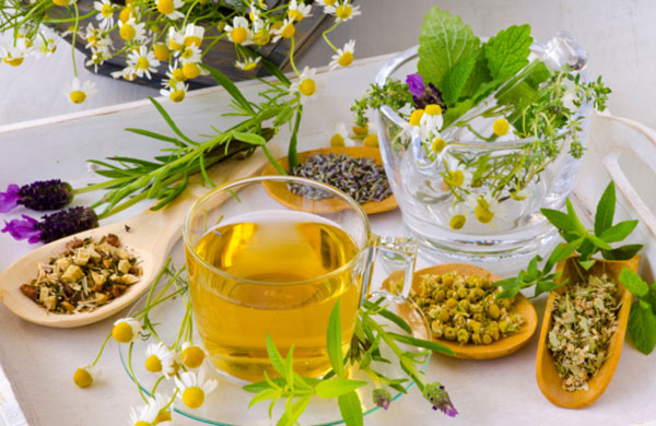 6 plantes du jardin parfaites à transformer en tisane - Jardiland