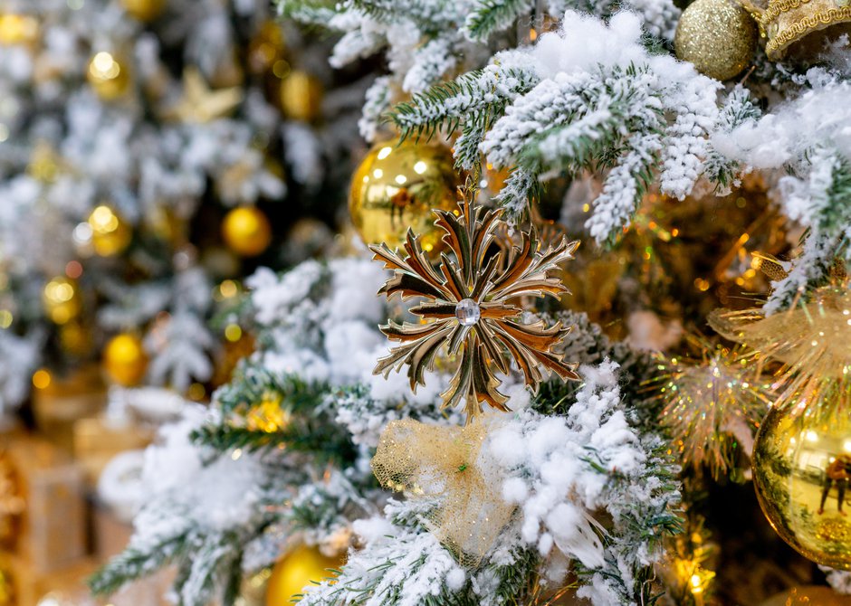 Comment décorer un sapin de Noël blanc ? - Gamm vert