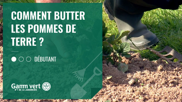 Comment Butter Des Pommes De Terre