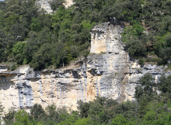 Microclimat - Gamm vert