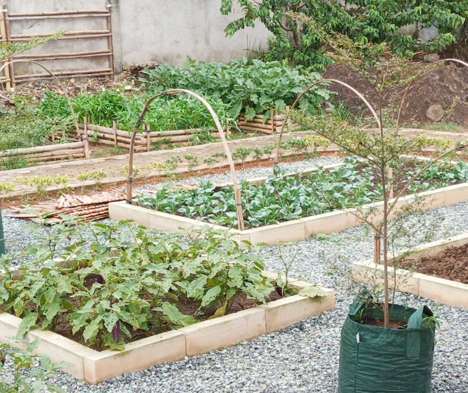 Cómo Hacer Un Huerto