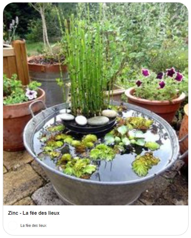 5 idées de mini bassins originaux pour égayer son extérieur - Jardiland