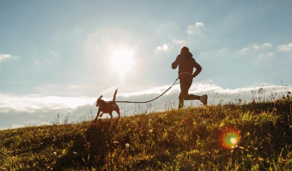 10 races de chiens qui aiment la course à pied - Jardiland