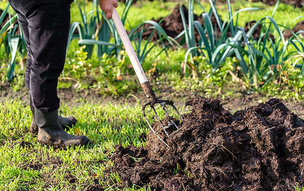 Comment acidifier un sol ? - Gamm vert