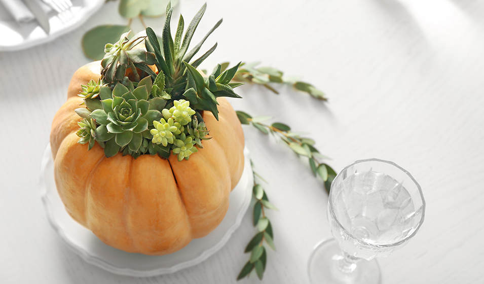 5 idées déco avec une citrouille d'Halloween - Jardiland