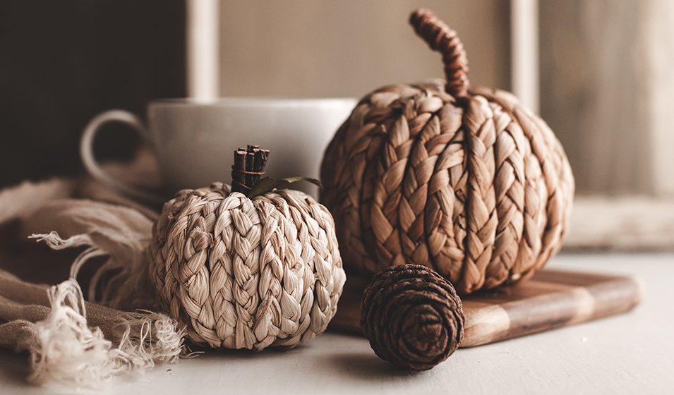 5 idées déco avec une citrouille d'Halloween - Jardiland