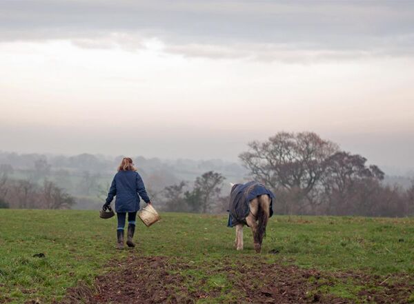 L'entretien du cheval - Gamm vert