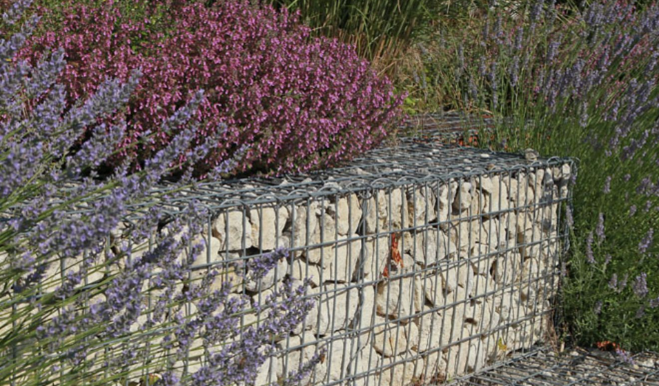 ¿Cómo crear un jardín seco? - Jardiland