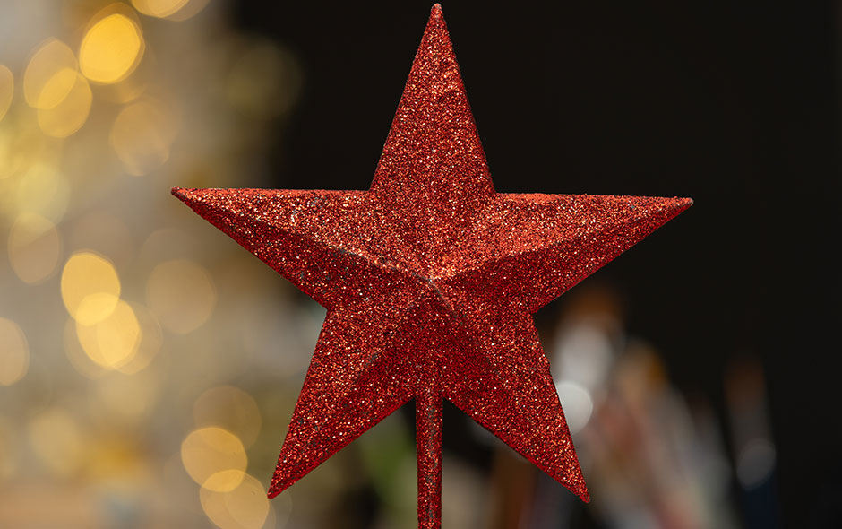 Quelle étoile choisir pour mon sapin de Noël ? - Gamm vert