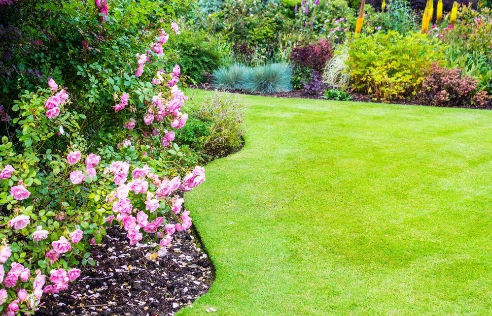 Votre pelouse : l'atout déco auquel vous n'auriez pas pensé - Jardiland