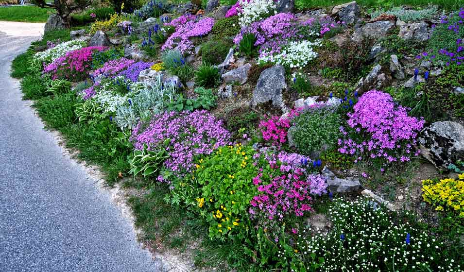 11 idées d'aménagements d'un jardin en pente - Jardiland
