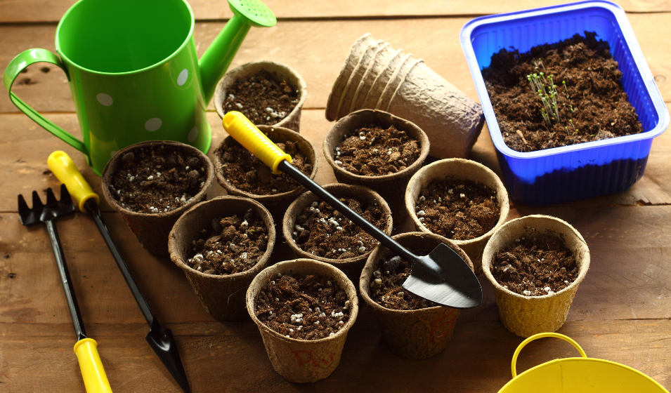 Macetas De Tierra Para Verduras