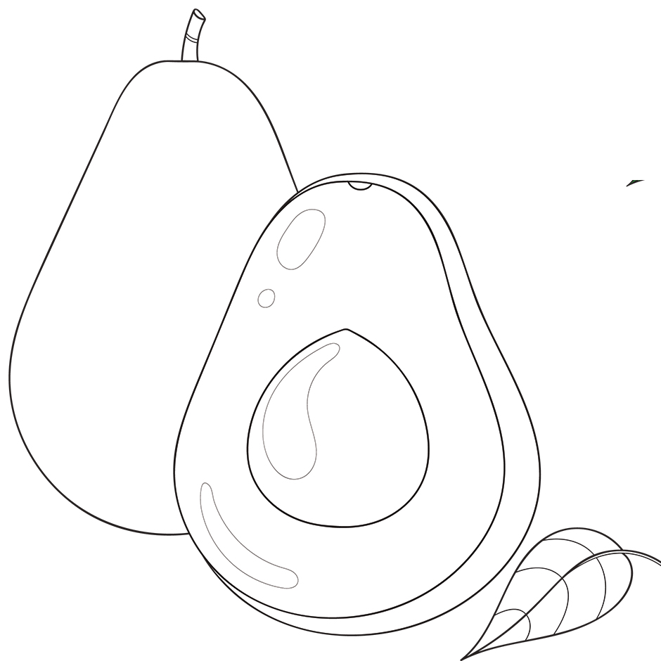 L'avocat - Gamm vert