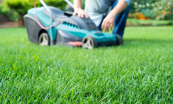 10 astuces à suivre pour avoir une belle pelouse - Gamm vert
